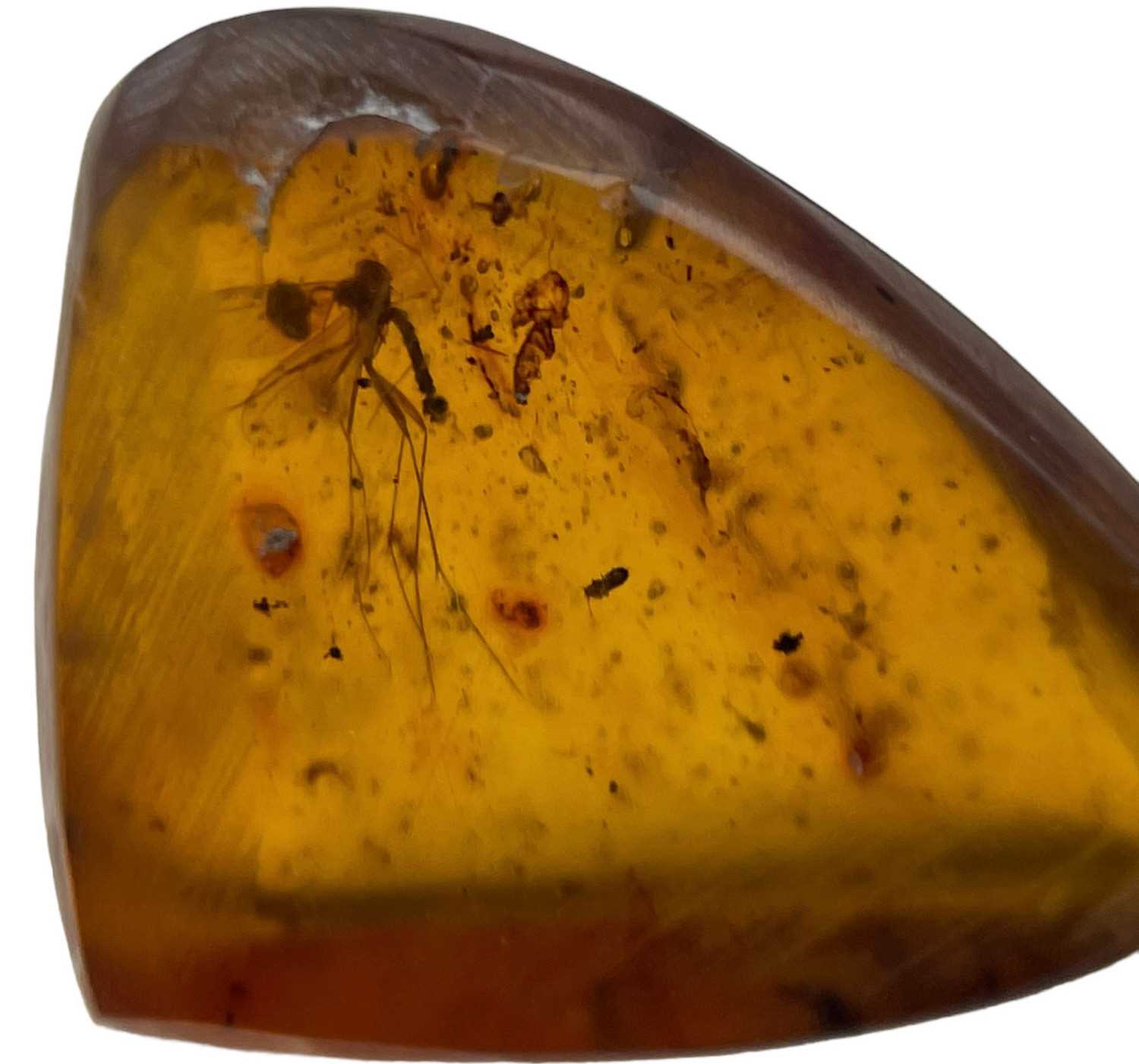 Lot 551 - A FOSSIL MOSQUITO IN DINOSAUR AGED BURMESE