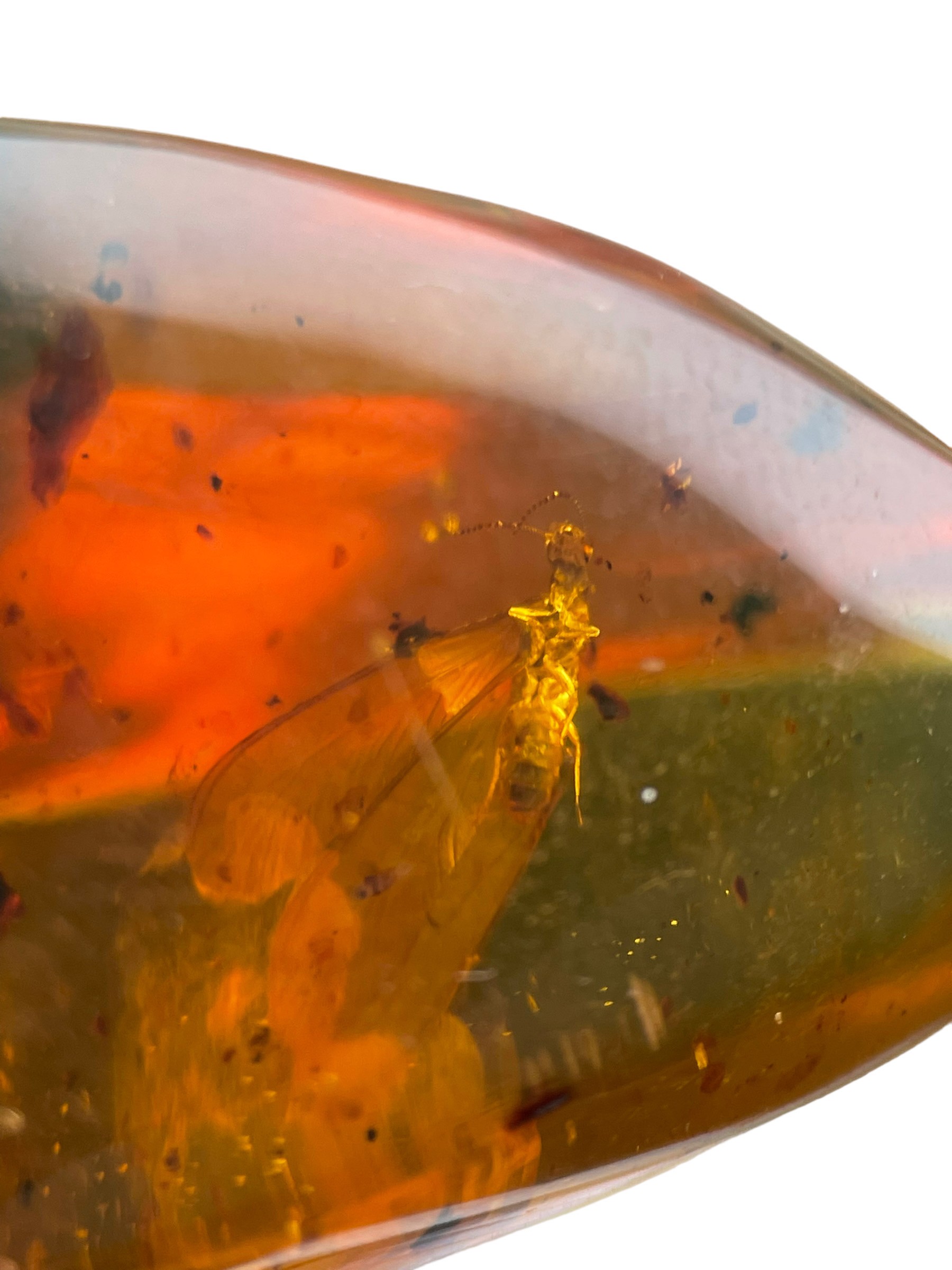 Lot 552 - A FLYING INSECT FOSSIL IN AMBER A highly