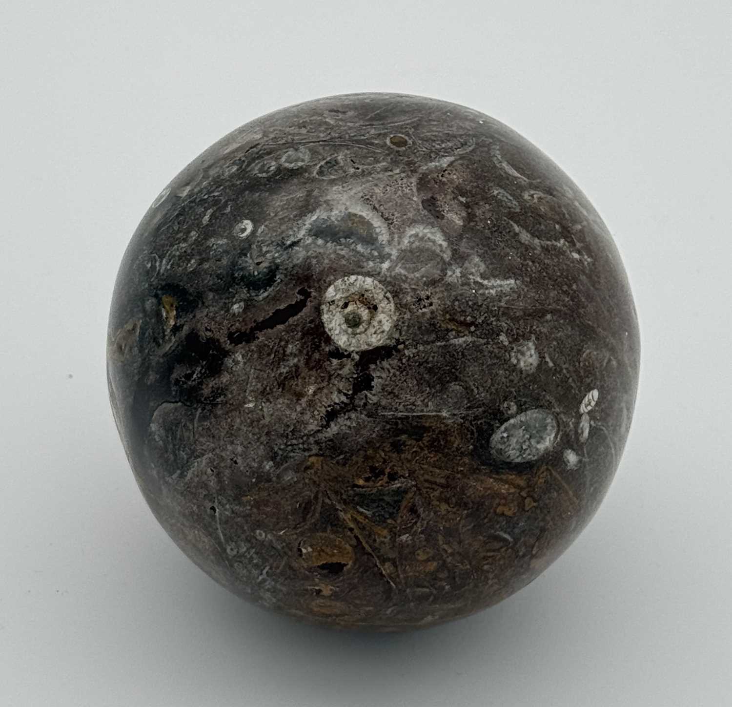 Lot 897 - A STONE MARBLE BALL WITH EMBEDDED FOSSILS