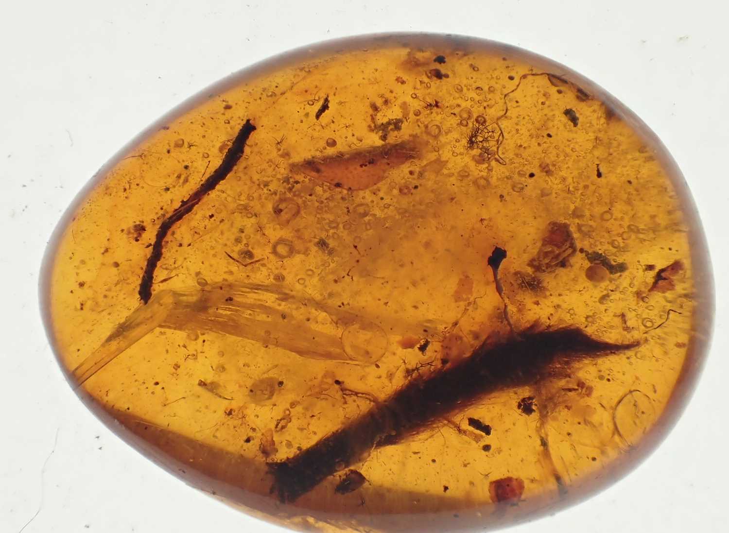Lot 848 - A PROTO-FEATHERED DINOSAUR TAIL IN BURMESE